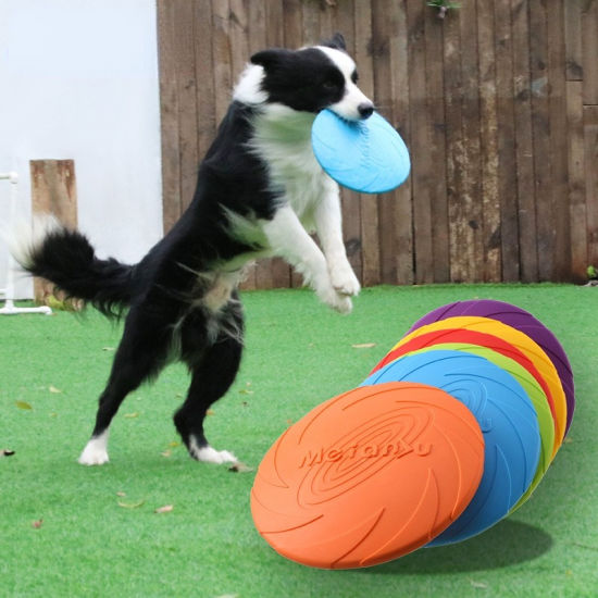 ზოოვიტამინი - Gloria - Frisbee For Dogs Flotable